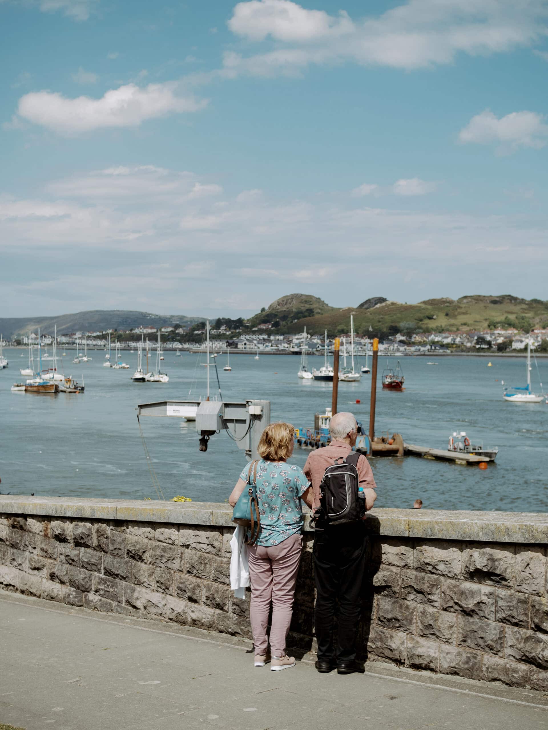 Understanding Risk Factors for Falls in Older Adults: Disease ...